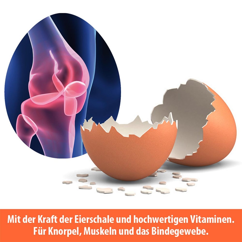 Arthrosan ovoaktiv Eierschalenmembran Kapseln 90 stk