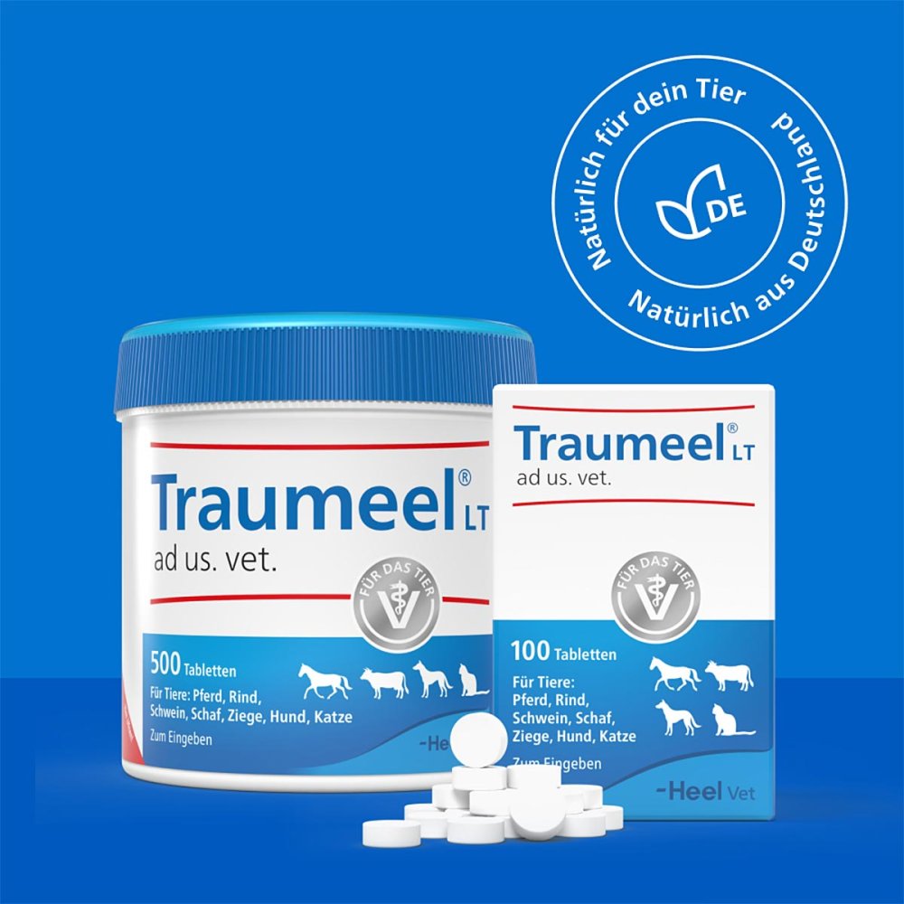 Traumeel LT ad us. vet. Tabletten 250 stk online kaufen