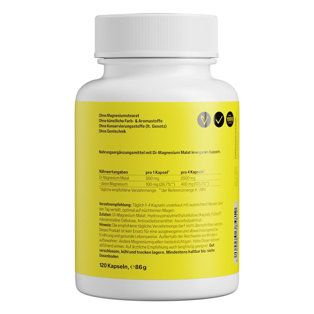 Zeinpharma Di-Magnesium Malat 100 Mg Kapseln 120 stk